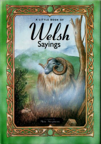 A Little Book of Welsh Sayings: Meic Stephens: 9780862817039: Amazon ...