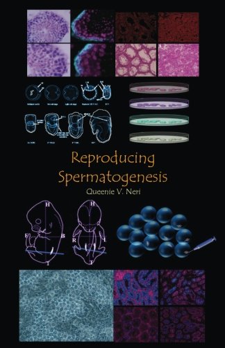Reproducing Spermatogenesis: Neri, Queenie V: 9780692942604: Amazon.com ...