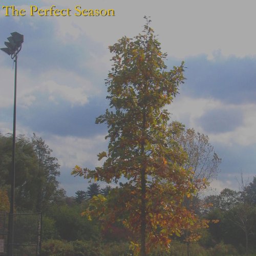 Spiele Demo von The Perfect Season auf Amazon Music ab