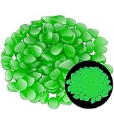 Amazon.com : NAMTSO Glow in The Dark Rocks Outdoor, 500pcs Blue Glow ...