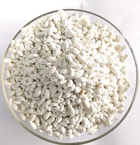 Siddhi Peppermint Coated Fennel Seeds | Thandai Saunf | Mouth Freshener ...