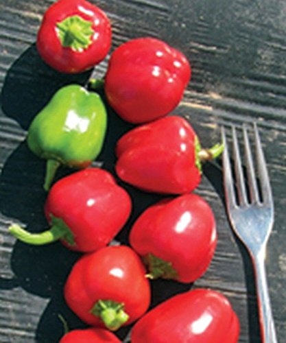 Amazon.com : Tinker Bell Mini Red Pepper - Sweet and Productive!!!(50 ...