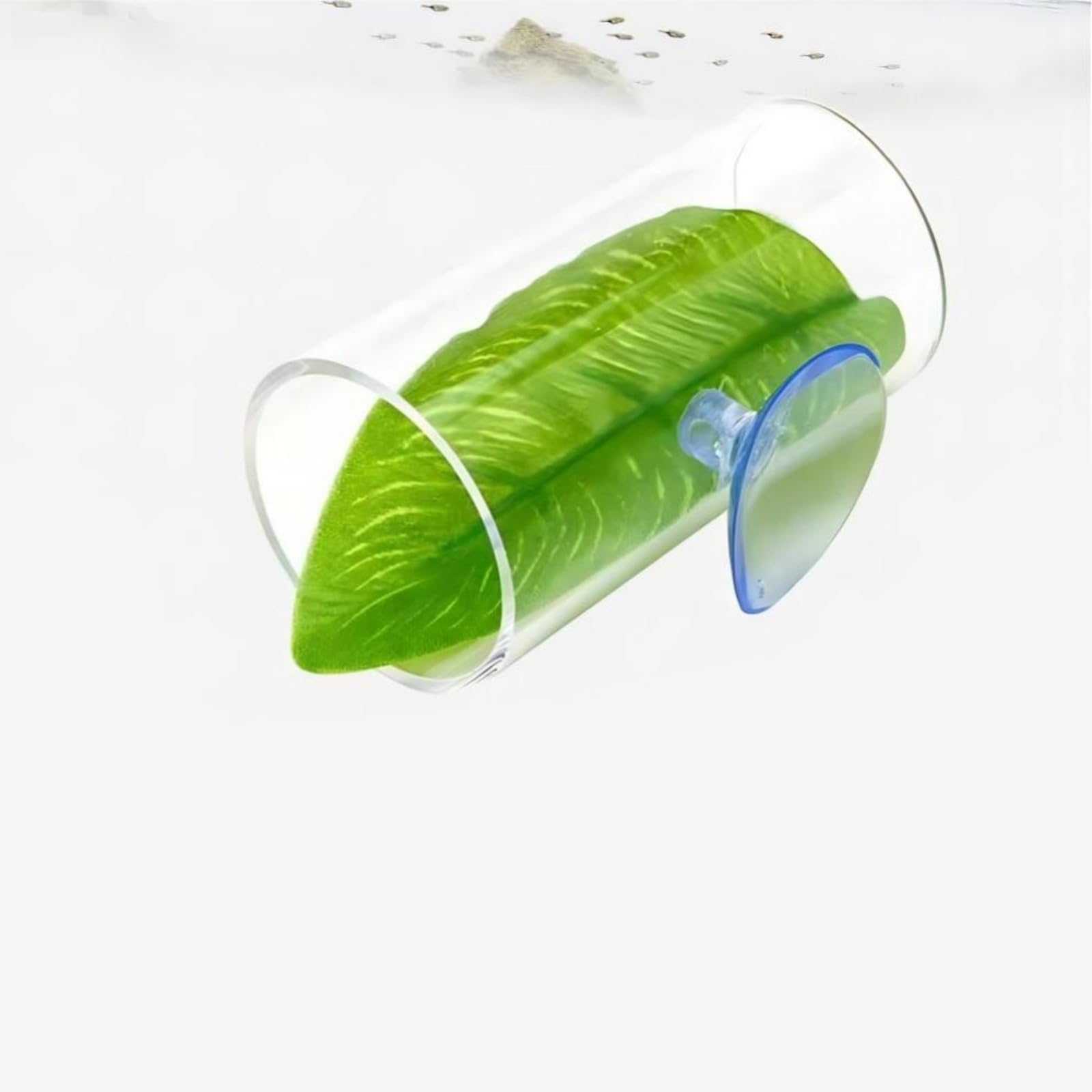 Amazon.com: Betta Fish Acrylic Tube Tunnel,Hollow Design for Better ...
