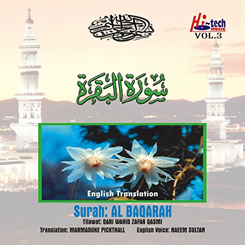 Amazon.com: Complete Holy Quran Vol. 3 (with English Translation ...