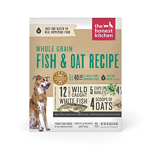Reeling in the Best: Our Top 10 Honest Kitchen Fish Recipe Picks for ...