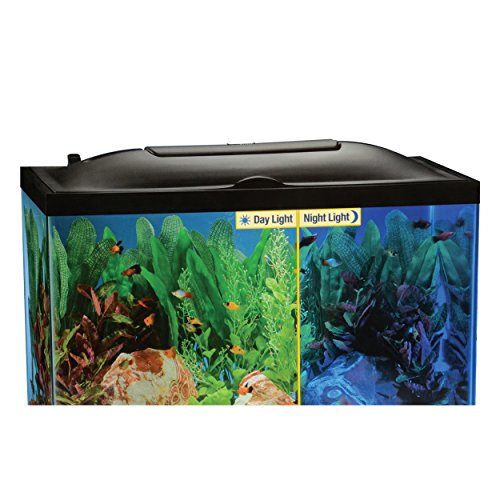The 10 Best Led Light For 20 Gallon Saltwater Aquarium
