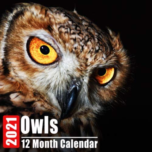 Mini Calendar 2021 Owls: Cute Owl Photos Monthly Small Calendar With ...