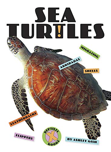 Sea Turtles (X-Books: Reptiles): Gish, Ashley: 9781628326727: Amazon ...