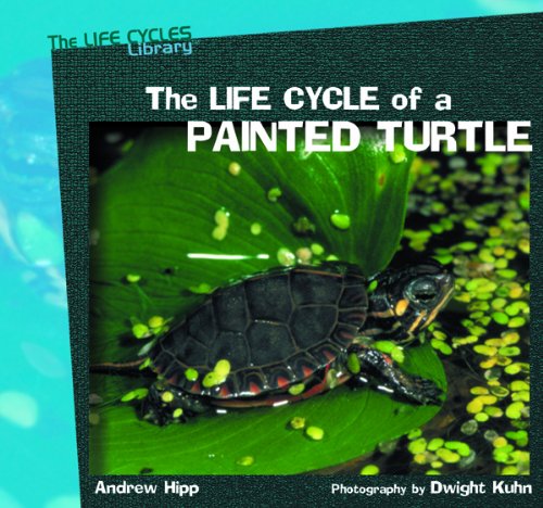 The Life Cycle of a Painted Turtle (Life Cycles Library): Hipp, Andrew ...