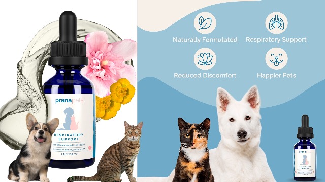 Watch Prana Pets Respiratory Support on Amazon Live