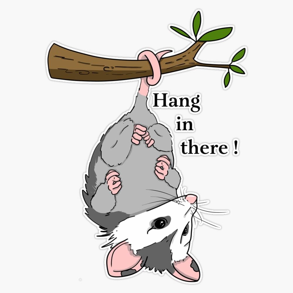 Amazon.com - Hang in There Opossum! Sticker Vinyl Waterproof Sticker ...