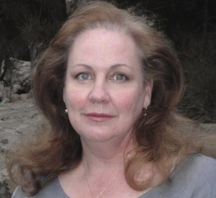 Amazon.com: Brenda Wilmoth Lerner: books, biography, latest update