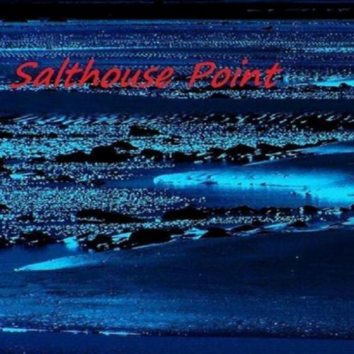 Amazon.com: Salthouse Point : Salthouse Point: Digital Music