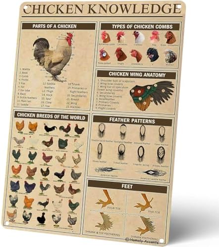 Amazon.com : Homely Accents Chicken Knowledge Breeds & Anatomy ...