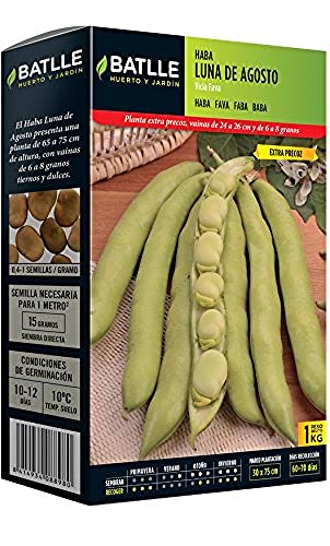 Cultivo de Habas ¿Cuándo se siembran? ⋆ Cultivar mi Huerto