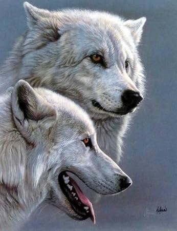 Amazon.com: Al Agnew Signed Wolf Print ARCTIC WOLVES 9.5"x12": Posters ...