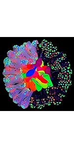 Amazon.com: 90 Pieces Neon Balloons, 12" UV Polka Dot Blacklight ...