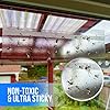 Amazon.com : Garsum Window Fly Traps Indoor, Fly Paper Bug Sticky ...