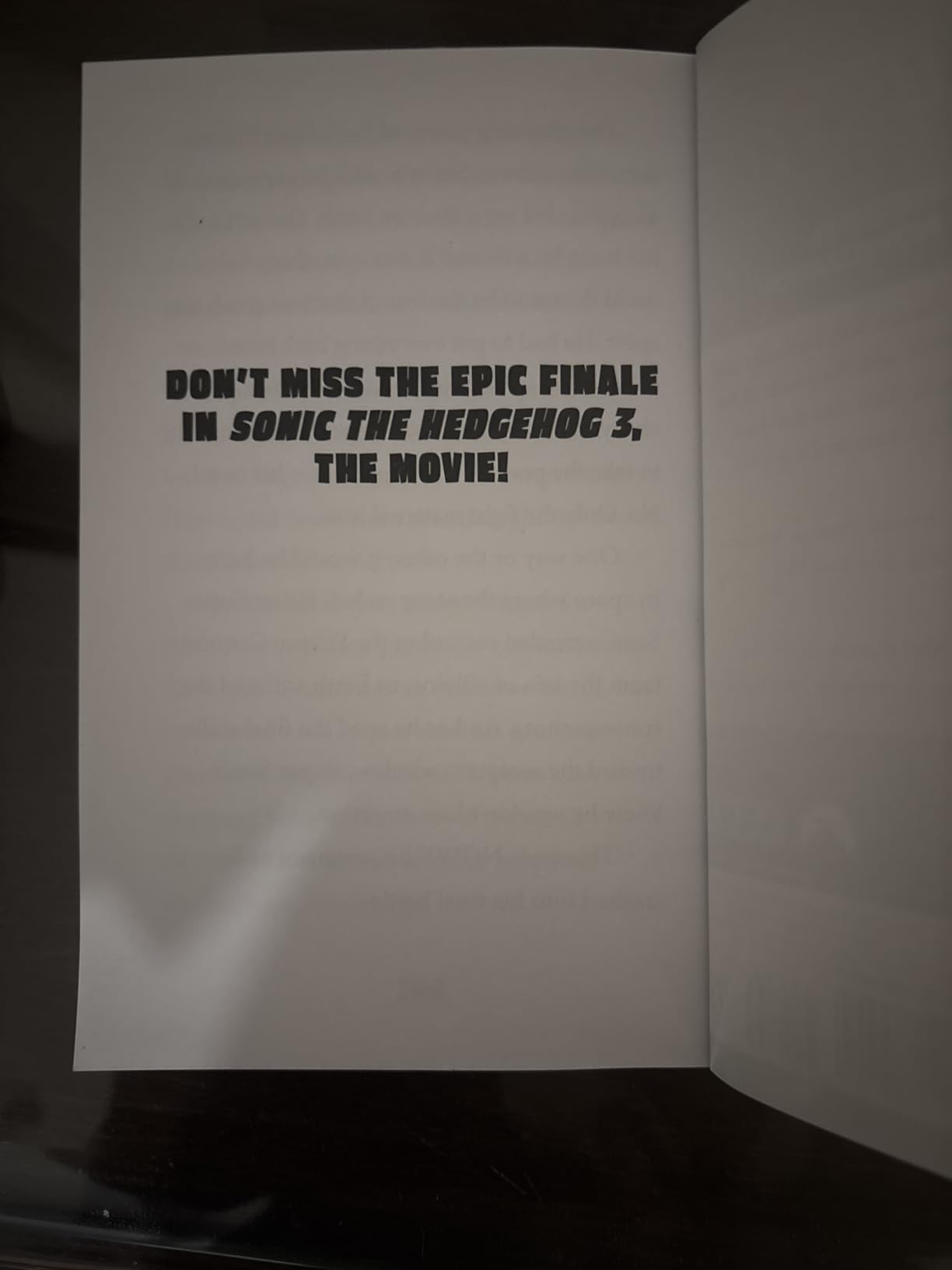 Sonic the Hedgehog 3: The Official Movie Novelization : Phegley, Kiel ...