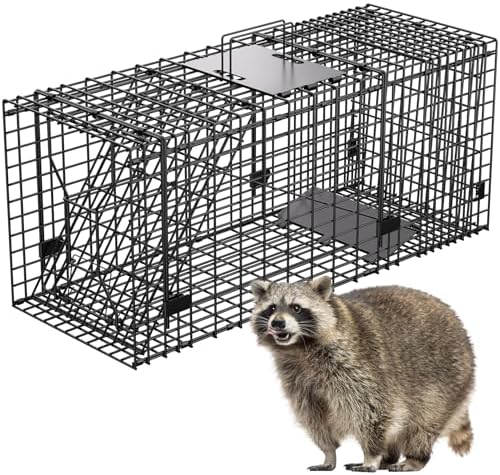 Amazon.com : Heavy Duty Live Trap 37x13x14.5 Inch Steel Collapsible ...