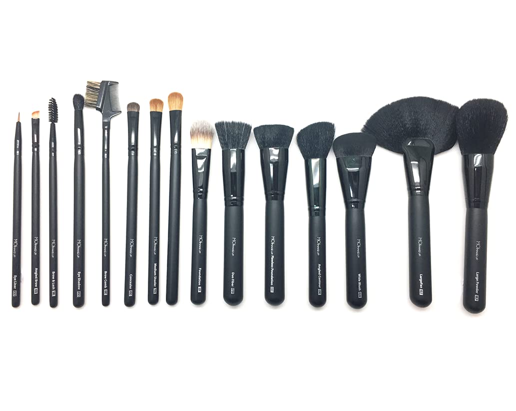 Amazon.com: Moi Moises Field Kit 15 Brushes and Brushes for ...
