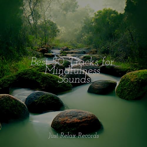 Best 50 Tracks for Mindfulness Sounds by Música para Niños on Amazon Music - Amazon.co.uk