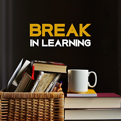 Amazon.com: Break in Learning – Chillout, Music for Learning, Study ...