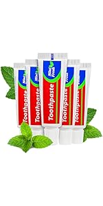 Amazon.com: HOIQIRY 50 Tubes Extra Small Travel Size Toothpast Bulk,0. ...