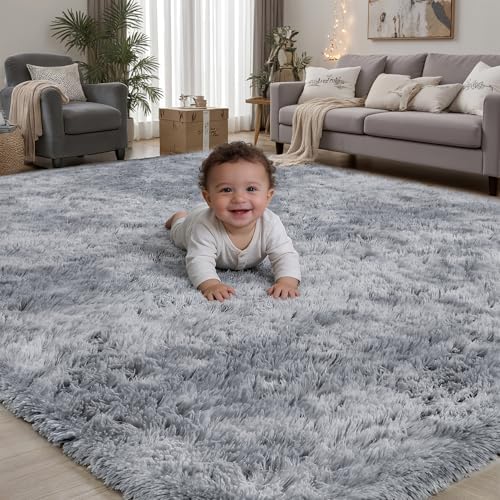 Amazon.com: Area Rug for Living Room Bedroom: 9x12 Light Grey Soft ...
