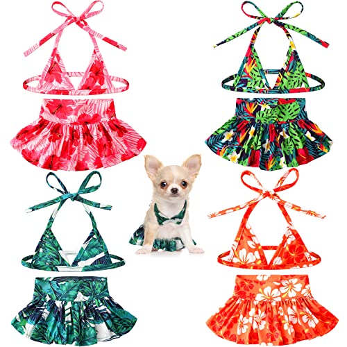 Dog Bathing Suit – The 15 best products compared - Wild Explained