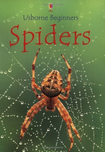 Spiders: rebecca-gilpin: 9780746045428: Amazon.com: Books