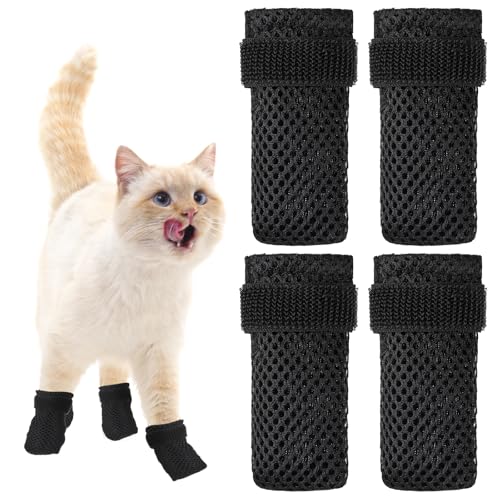 Cat Mittens – The 15 best products compared - Wild Explained