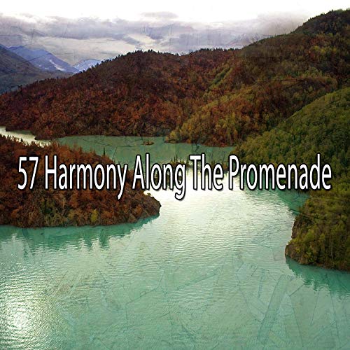 Amazon.co.jp: 57 Harmony Along the Promenade : Massage Therapy Music ...