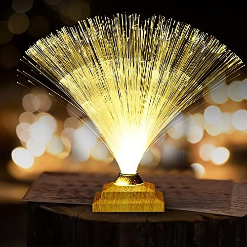 MOONSAY Fiber Optic Light with Wood Stable Base - Touch Lamp 24 Color ...