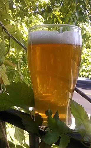 Amazon.com: Kiwi Crazy IPA : Grocery & Gourmet Food