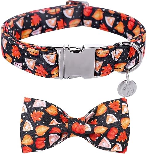 Amazon.com : DOGWONG Fall Dog Collar with Bowtie - Black Maple Leaf Dog ...