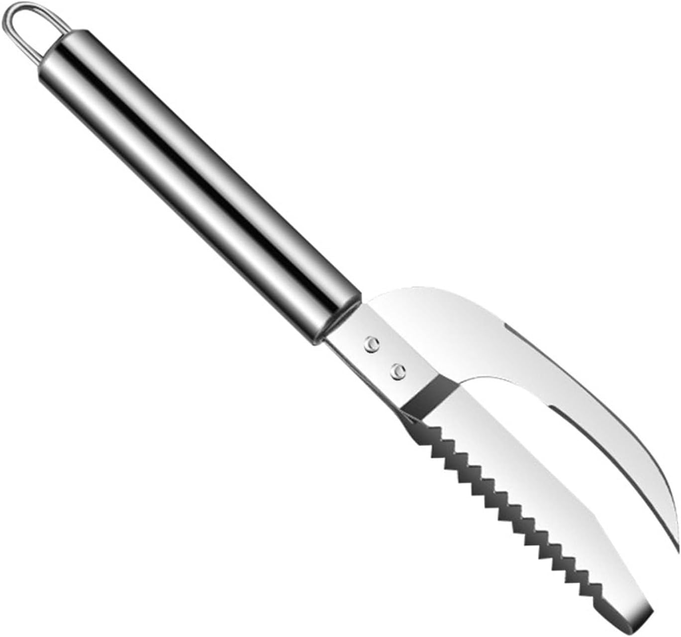 Amazon.com: Stainless Steel 3 In 1 Fish Scale Knife Scaler Remover with ...