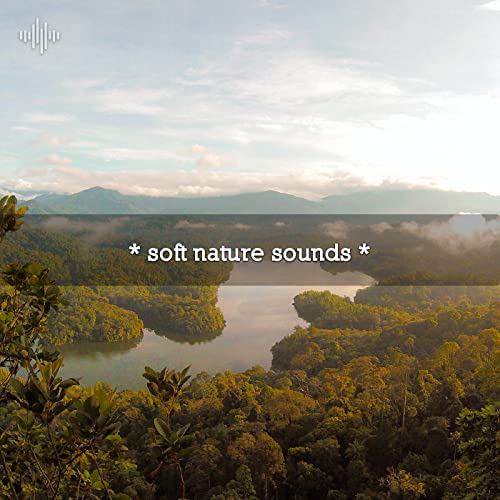 Amazon.com: * soft nature sounds * : Deep Sleep, Nature Sound ...