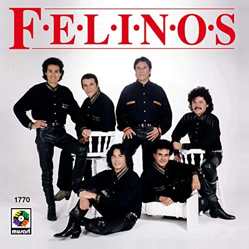 Play Felinos by Los Felinos on Amazon Music