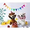 Amazon.com: LOVENJOY Pre-Assembled Rainbow Banner Buntings, Felt Fabric ...