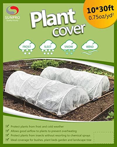 How Do I Protect My Vertical Garden? – Small Scale Gardener