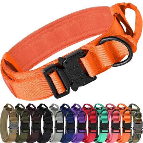 Orange Dog Collars – The 15 best products compared - Wild Explained