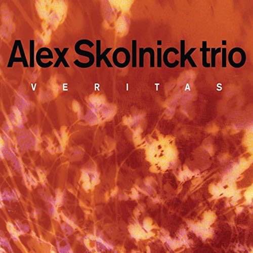 Amazon.com: Veritas : Nathan Peck, Matt Zebroski & Alex Skolnick Trio ...
