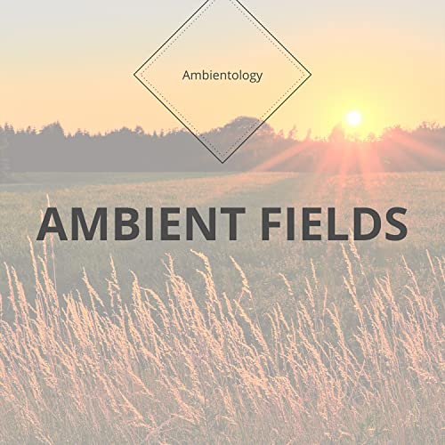 Amazon.com: Ambient Fields : Ambientology: Digital Music
