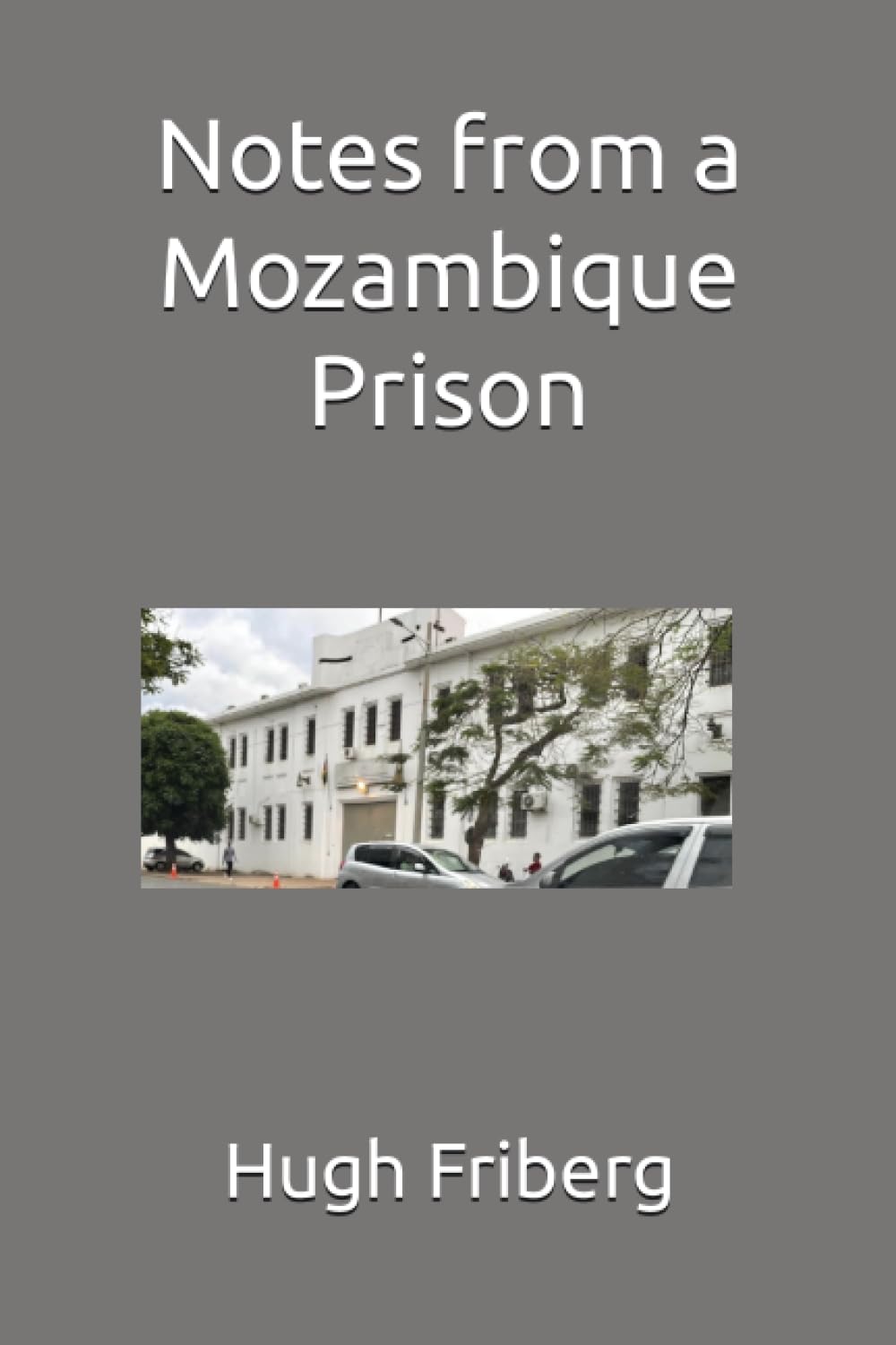 Notes from a Mozambique Prison: Friberg, Hugh R: 9798394916236: Amazon ...