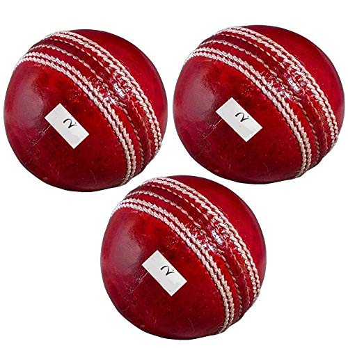 RPM Sports New Cricket Kit Combo Set of Bat Ball : Amazon.in: Sports ...