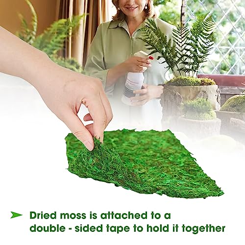 Snapklik.com : DUSPRO 2Pcs 10x7 Inches Sheet Moss For Potted Plants, Florist Moss For Plants ...
