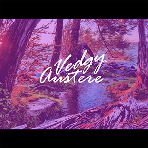 Amazon.com: Austere : Vedgy: Digital Music