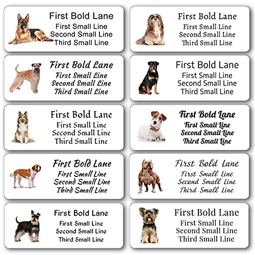 Amazon.com : Dog Puppy Family Up to 100 Dogs Images Personalized Return ...