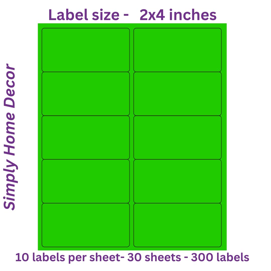 Amazon.com : 2x4 inches - 300 Color Address Labels - Fluoroscent ...